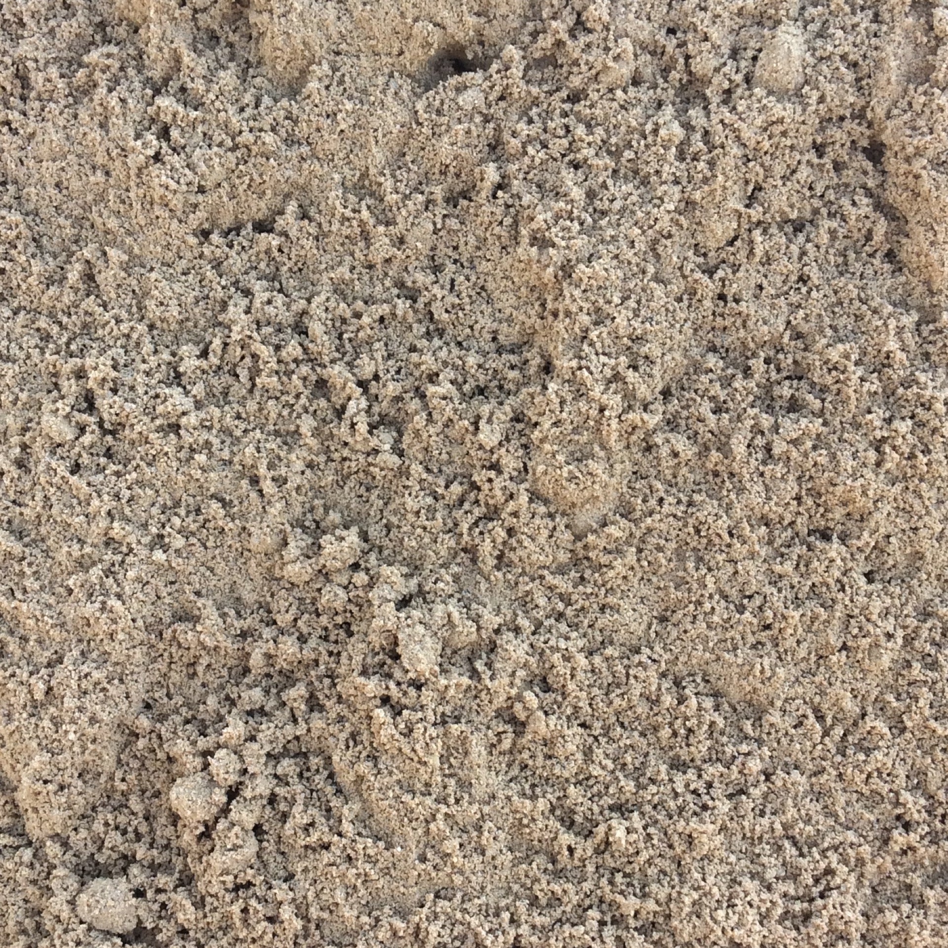 Single Wash Sand: Pure, Refined & Ideal for Multiple Uses | Alex ...