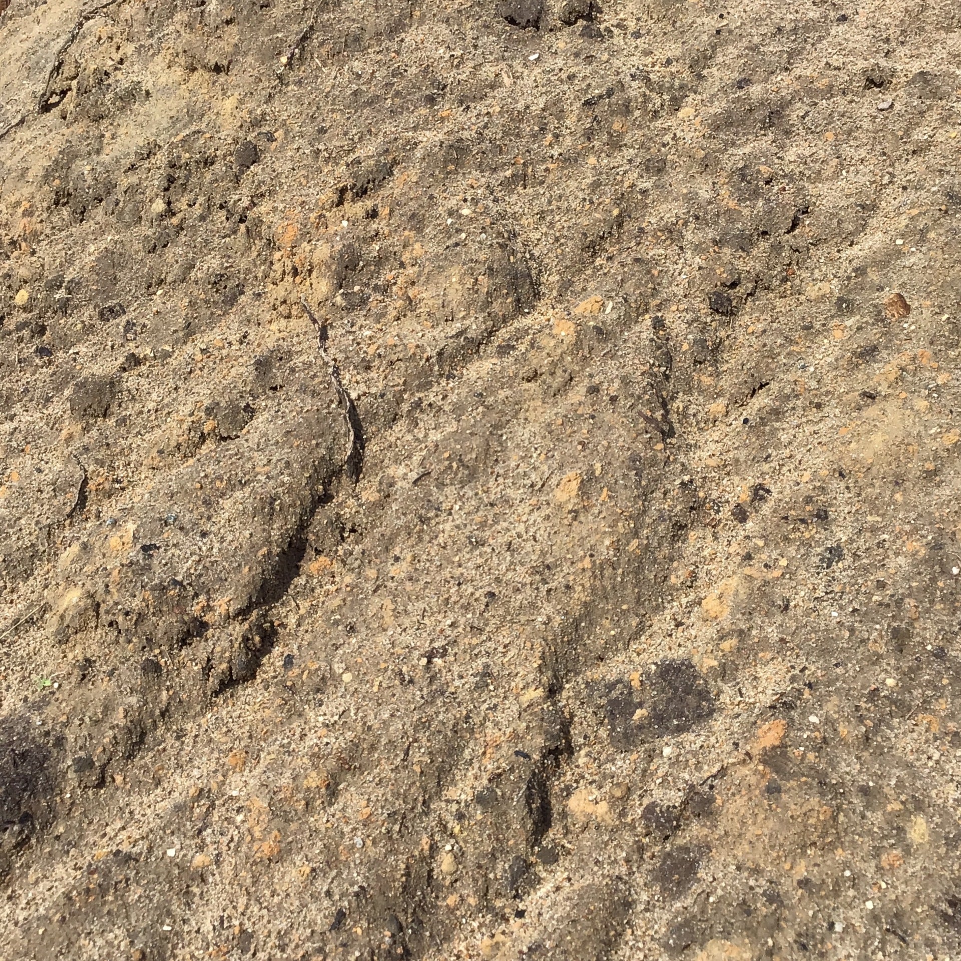 Premium Fill Dirt: Ideal for Landscaping and Construction Projects ...