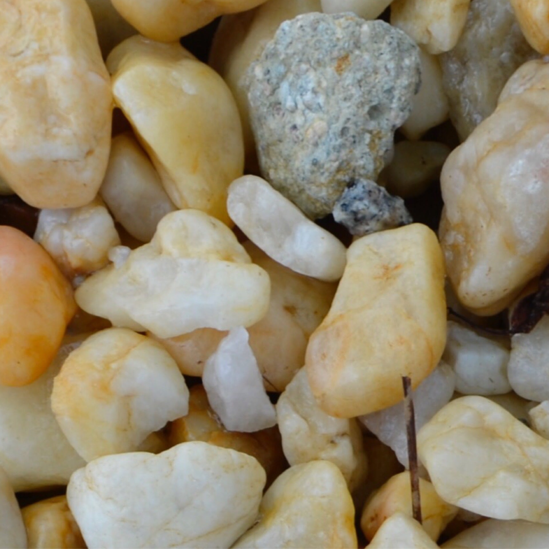 River Rock & Marble Chip: Natural Elegance for Landscapes | Alex ...